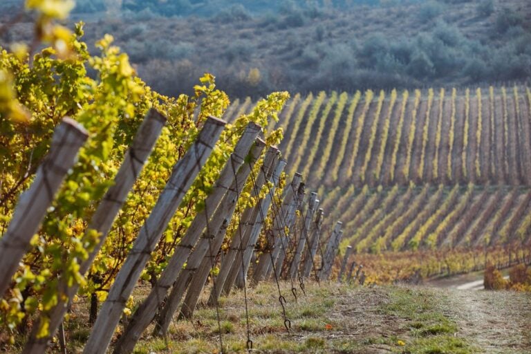 7 Reasons to Visit Moldova - Moldova Travel